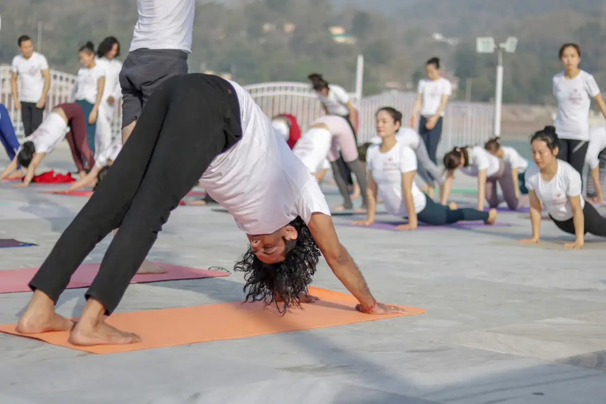 Tattva Yogashala - Rishikesh | Exploring Elements At Tattva Yogashala